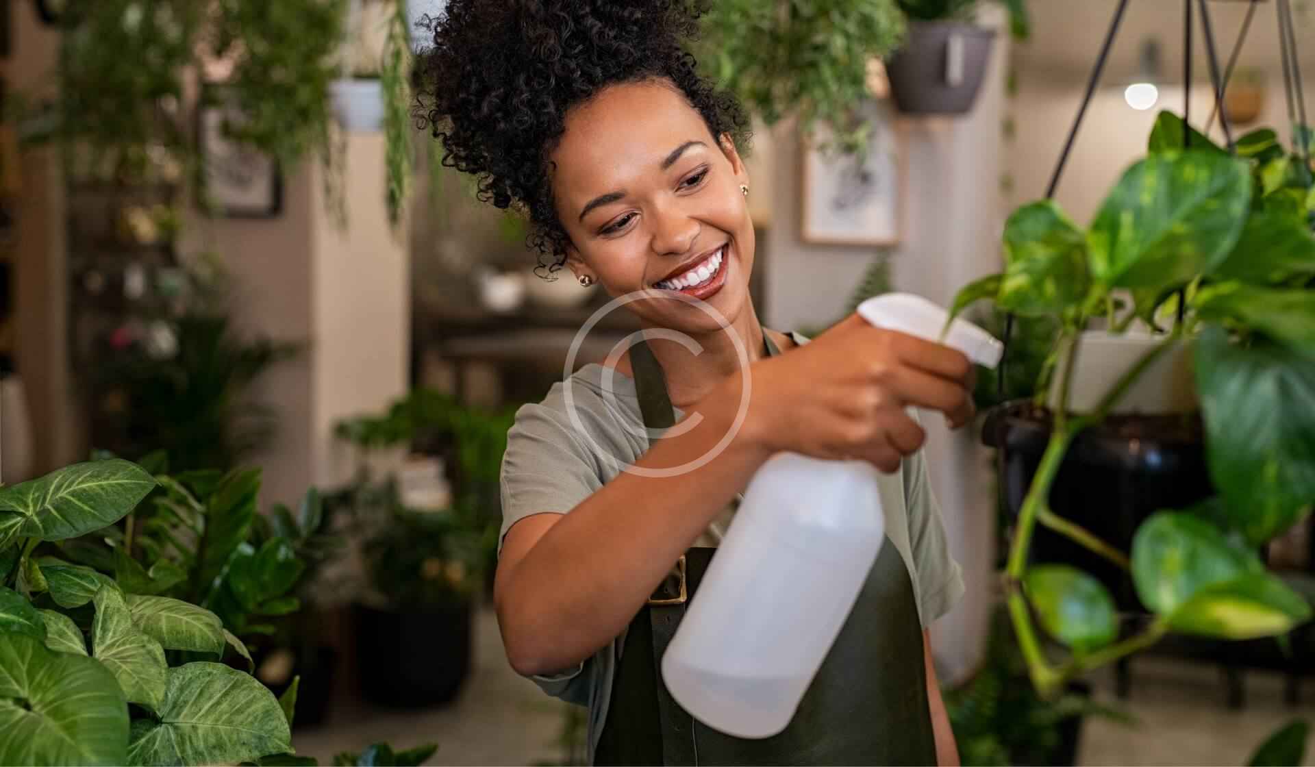 Simple steps to thriving greenery - Seeds Australia