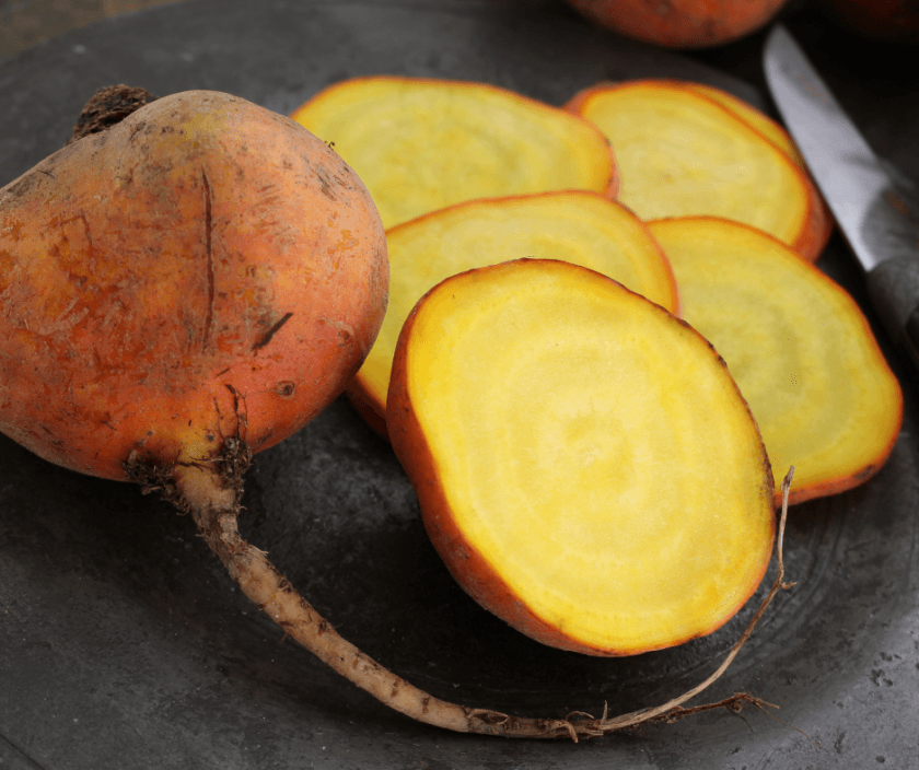 Beetroot - Golden Detroit Seeds