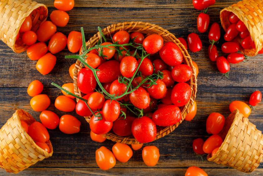 Tomato Tatura Dwarf Seeds