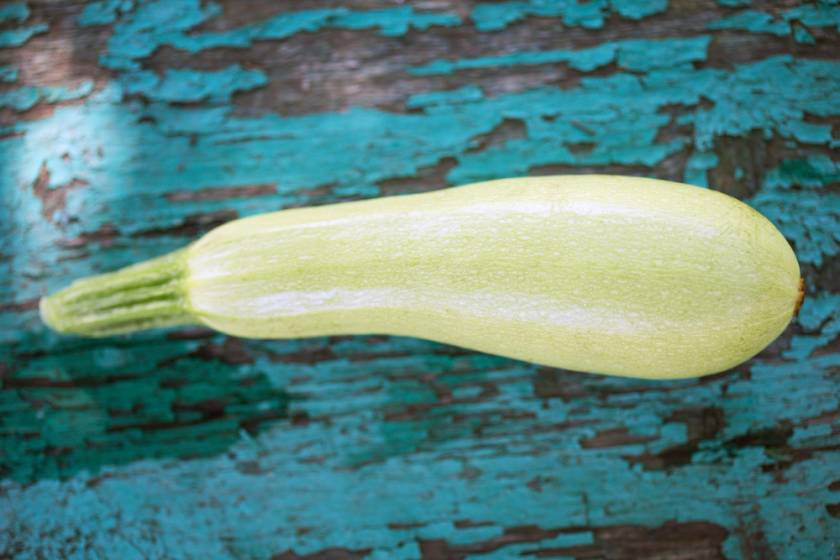 Zucchini - Italian Light Green Seeds - Seeds Australia